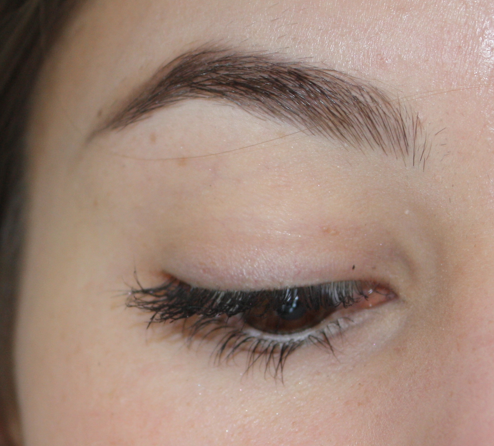 SUQQU Eyebrow Pen before and afters | Shameless Fripperies